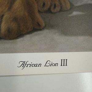 Harold Rigsby | Wall Decor | African Lion Iii By Harold Rigsby 687975 ...